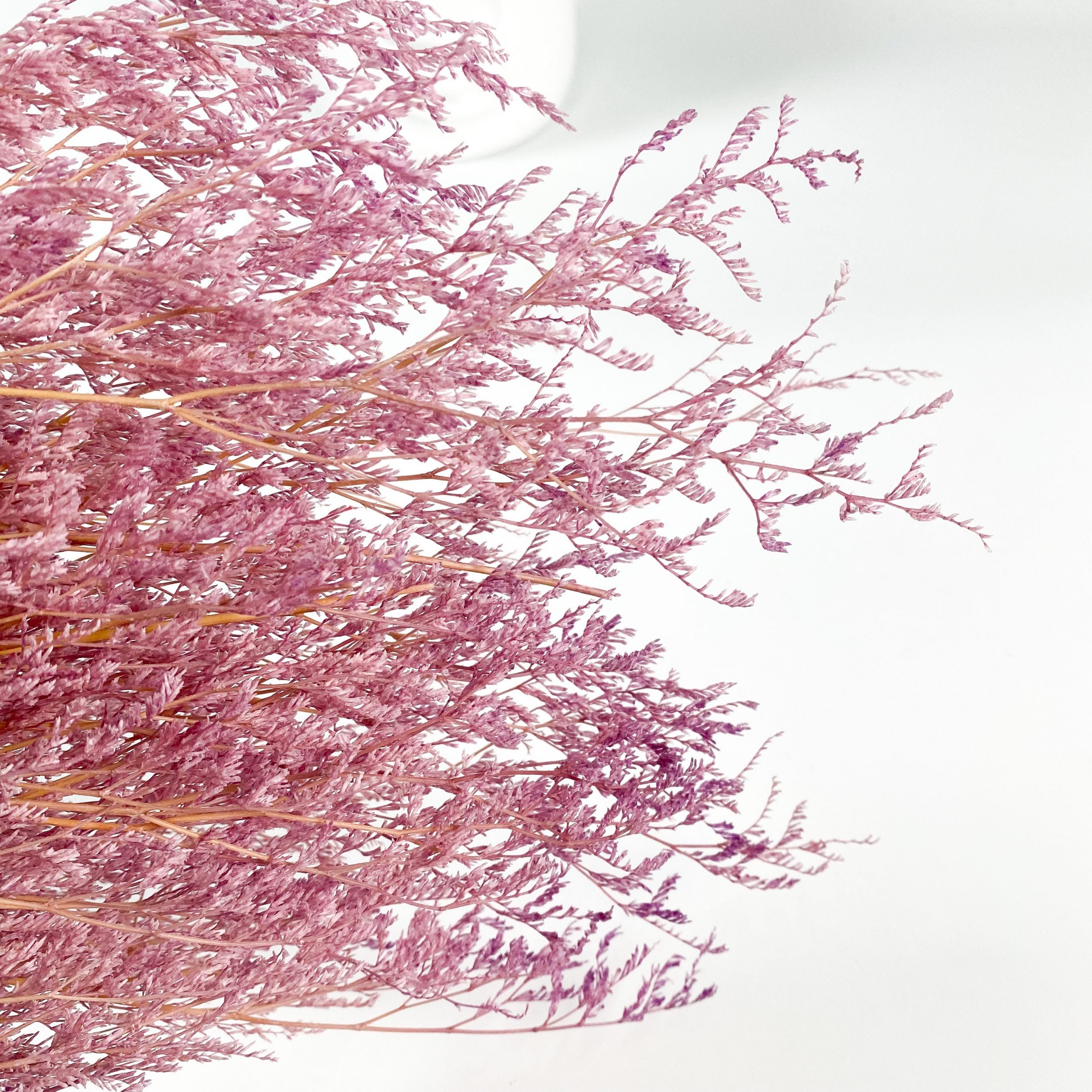 Dry Misty - Lavender - Sincere Sentiments | Sincere Sentiments