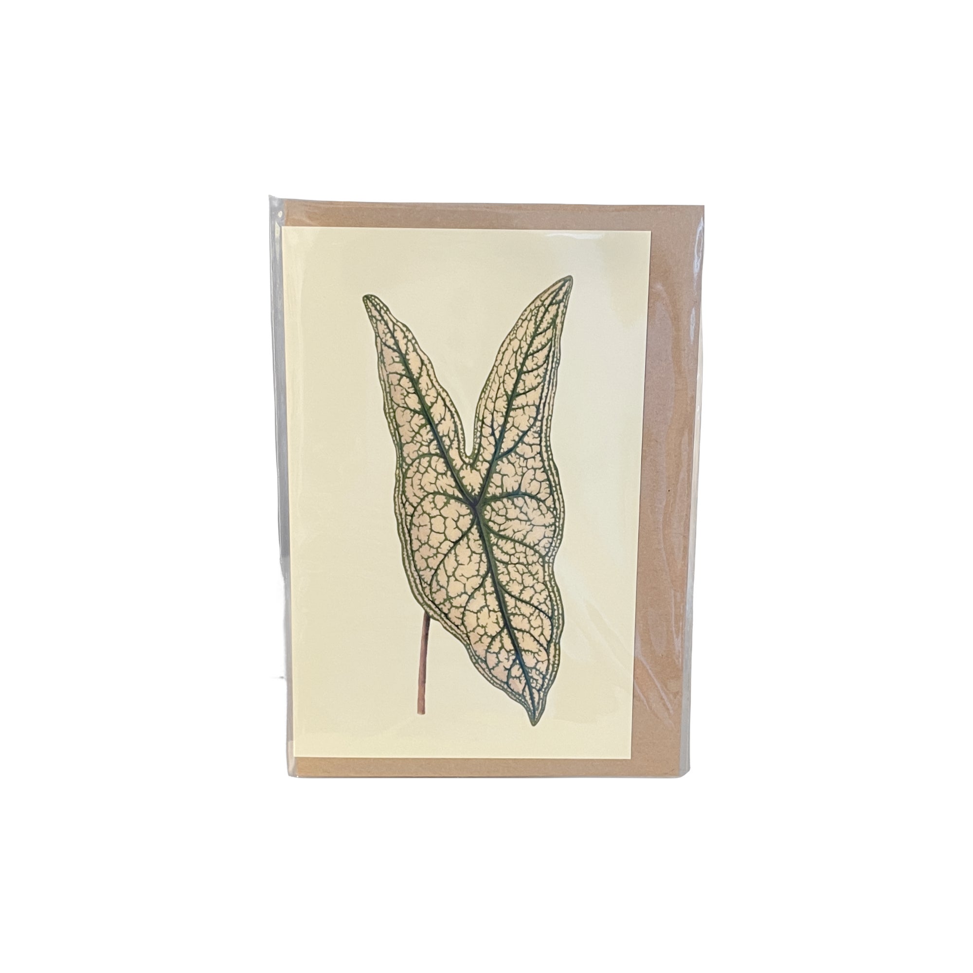 Single Leaf - Greeting Card - Sincere Sentiments | Sincere Sentiments